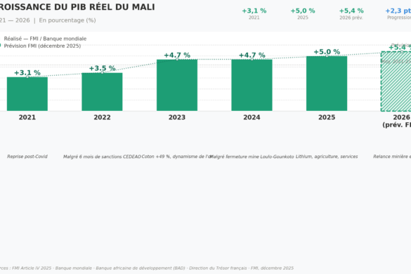 Agriculture au Mali : Assimi Goïta dévoile les mesures clés pour la ...